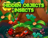 Hidden Objects - Jocuri Online Gratuite | FunnyGames